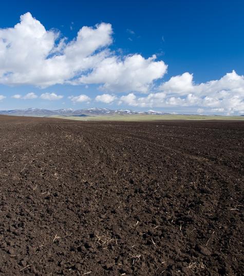 Center for Conservation Biology | College of Natural & Agricultural ...